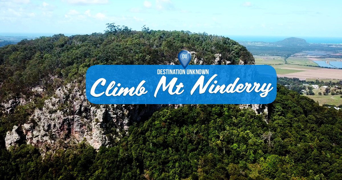 Mount Ninderry - Climbing Mt Ninderry - Sunshine Coast - Destination ...